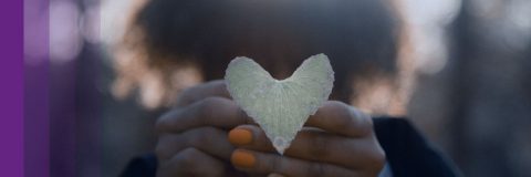 Certification Classes Online | Linda Howe